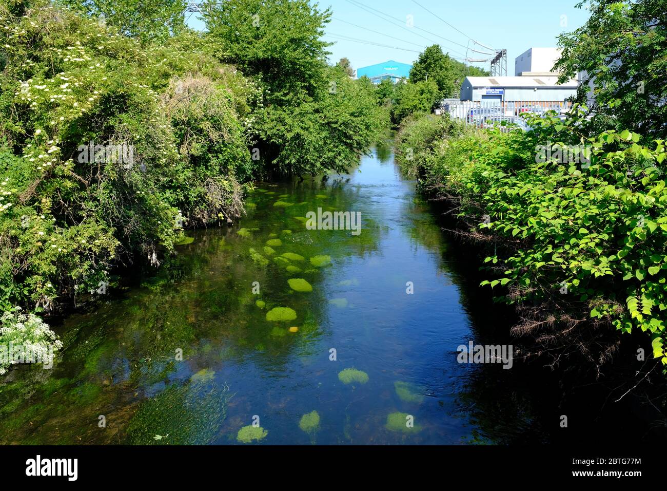 River Wandle Trail Stock Photo - Alamy
