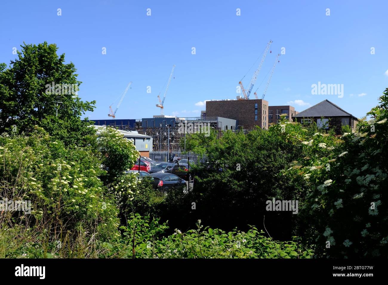 River Wandle Trail Stock Photo - Alamy