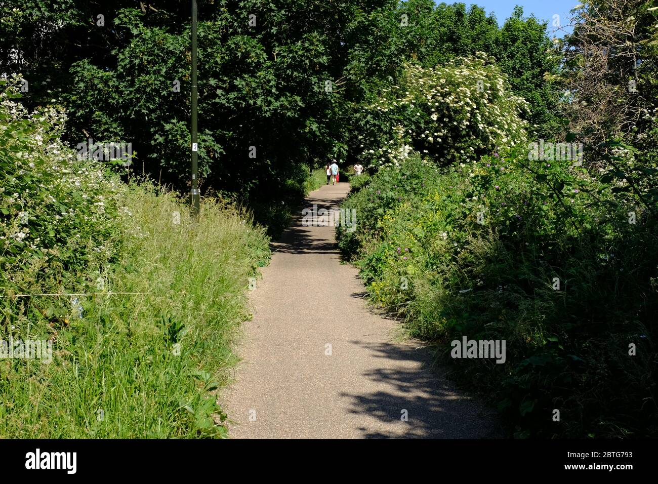 River Wandle Trail Stock Photo - Alamy