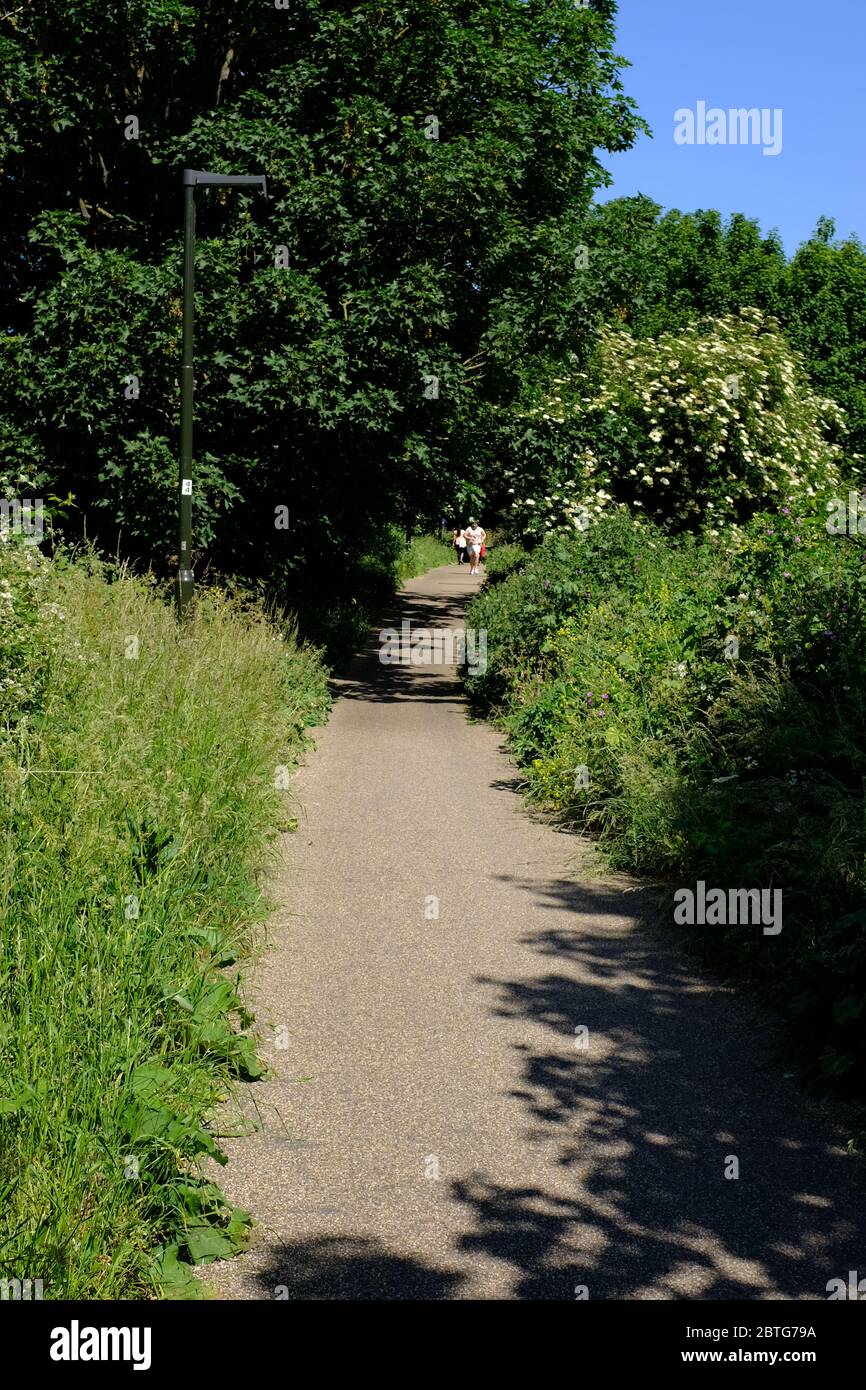 River Wandle Trail Stock Photo - Alamy