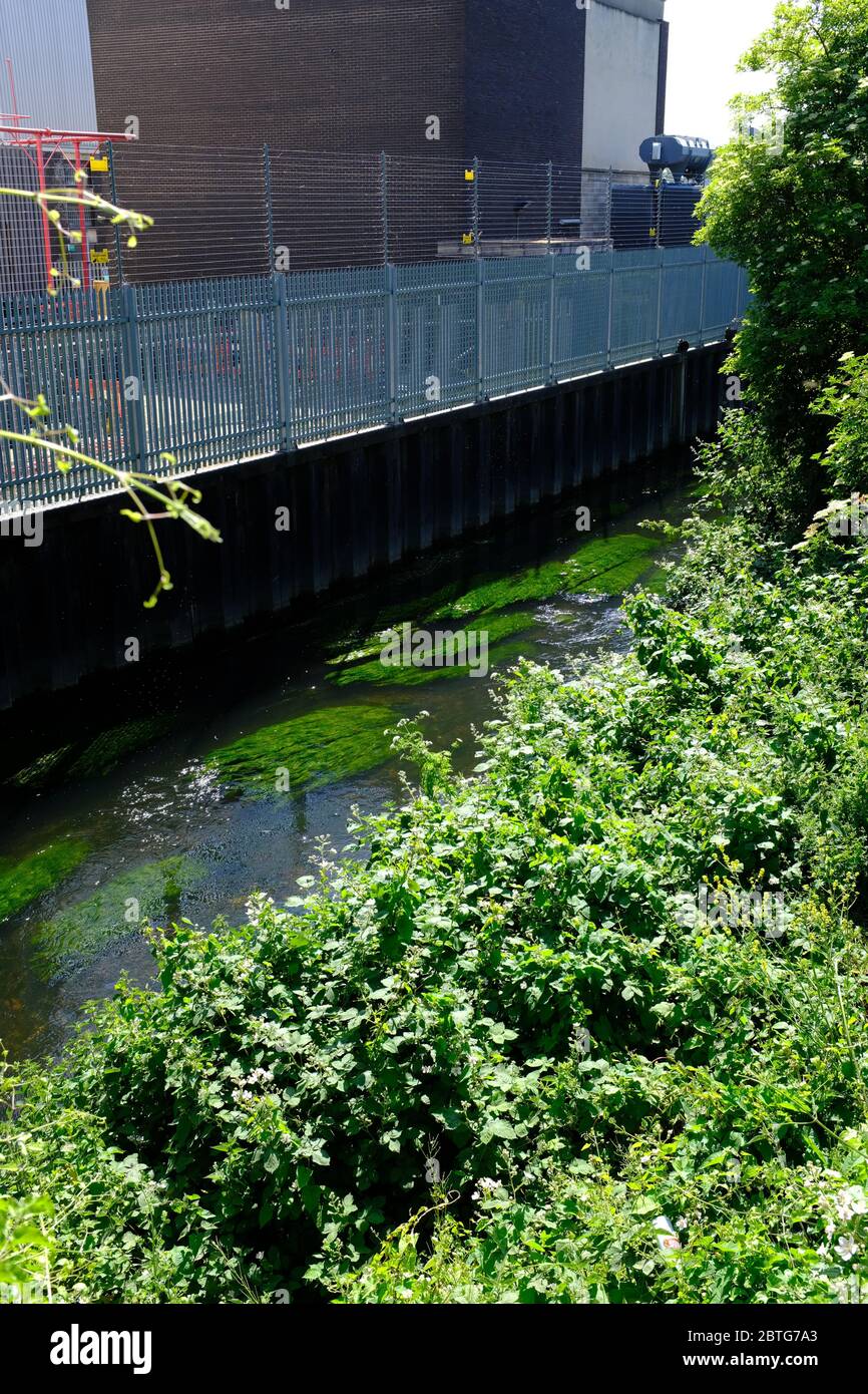 River Wandle Trail Stock Photo - Alamy