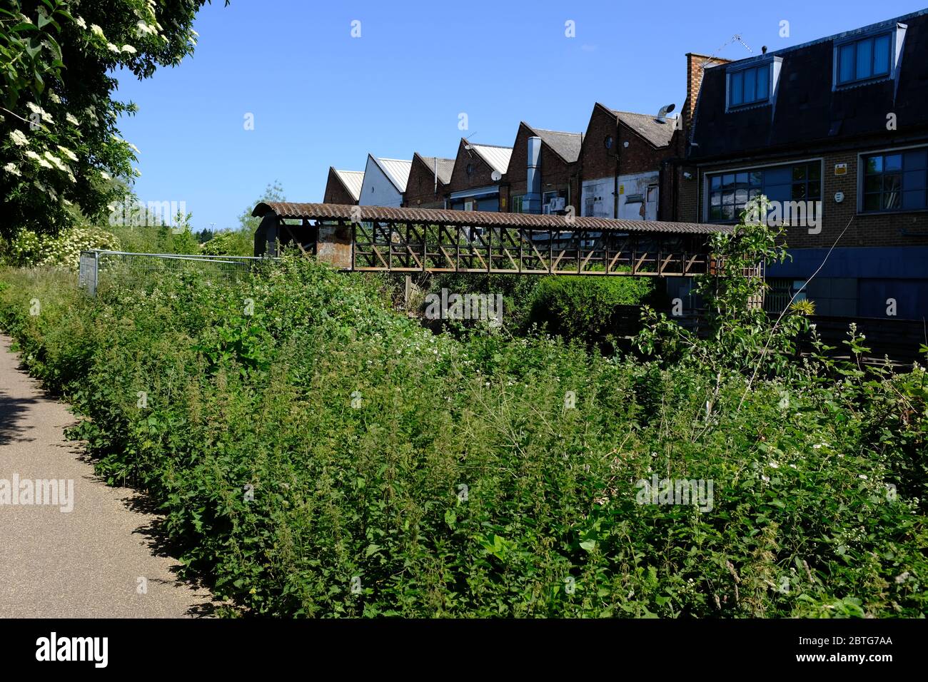 River Wandle Trail Stock Photo - Alamy