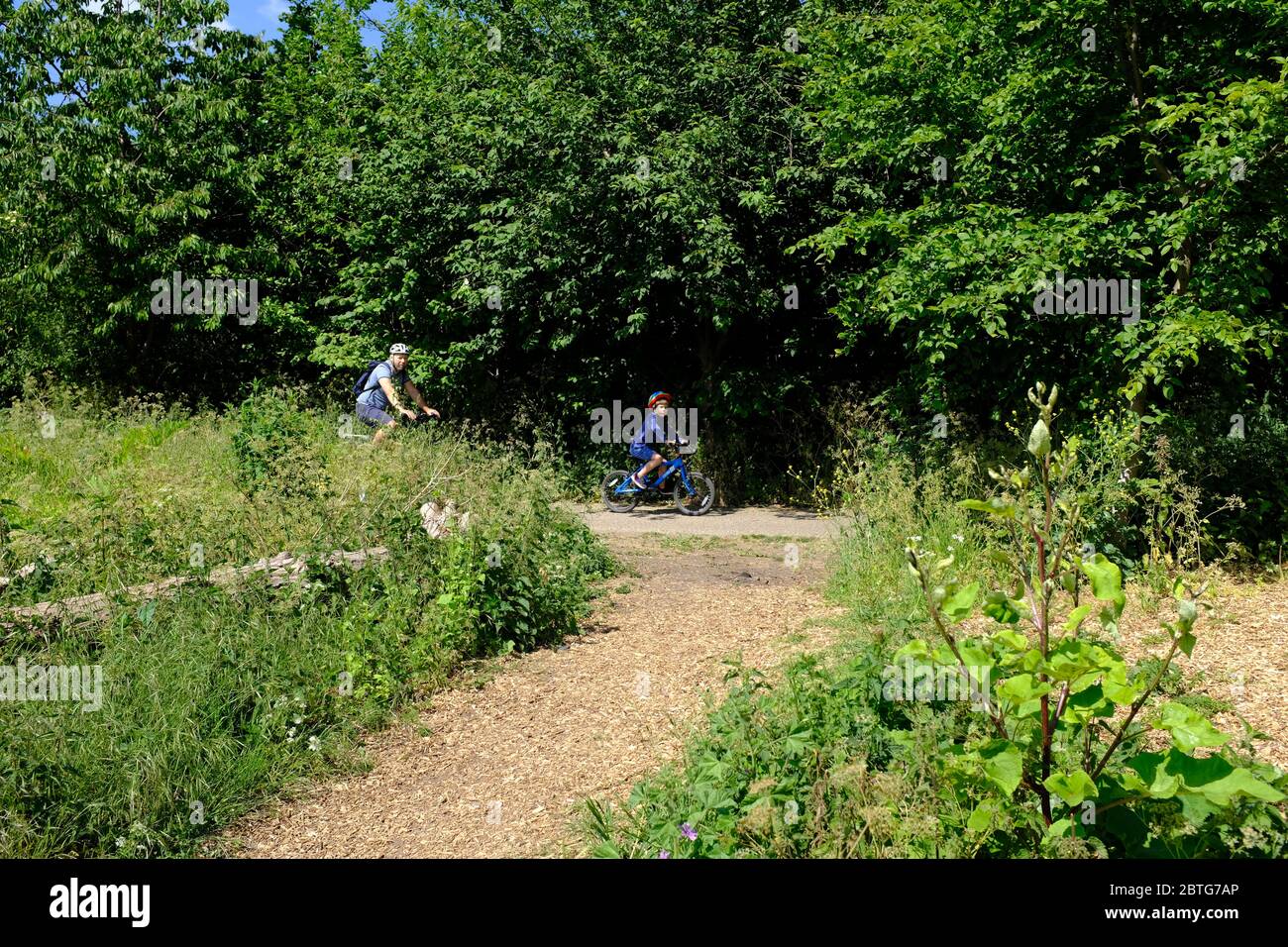 River Wandle Trail Stock Photo - Alamy