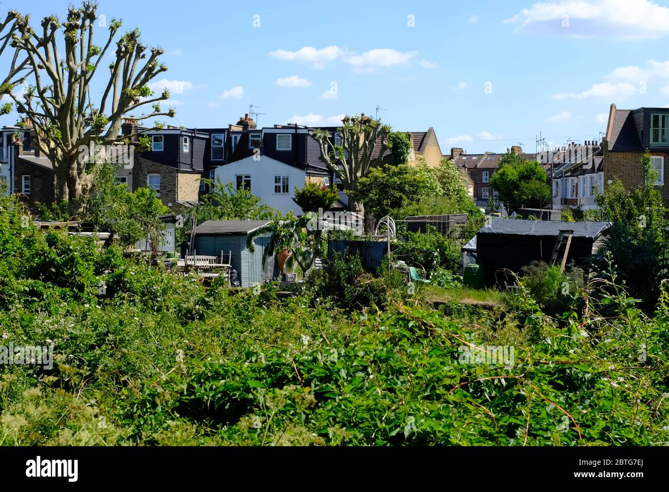 Garratt Park Allotments River Wandle Trail Stock Photo - Alamy