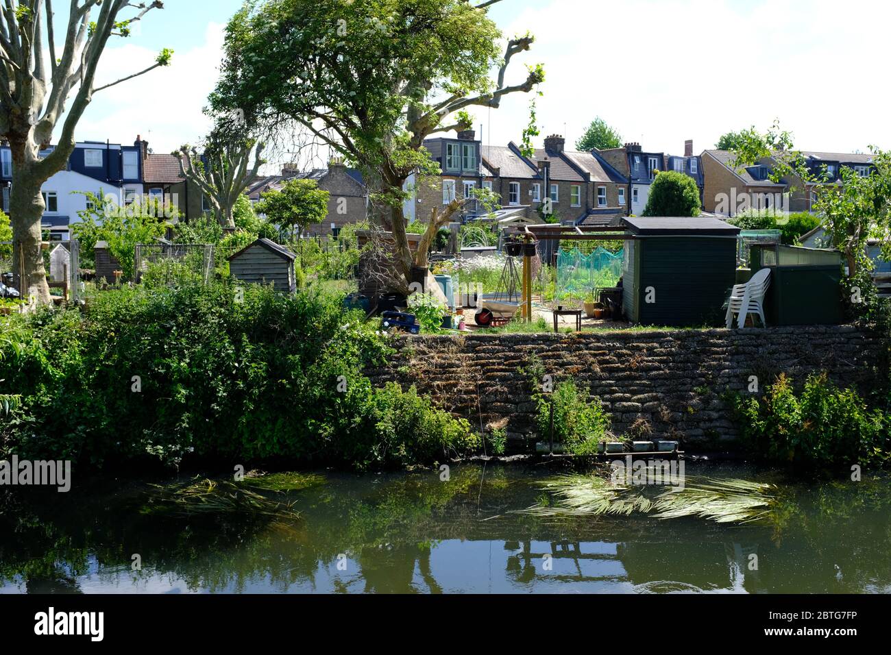 Garratt Park Allotments River Wandle Trail Stock Photo - Alamy