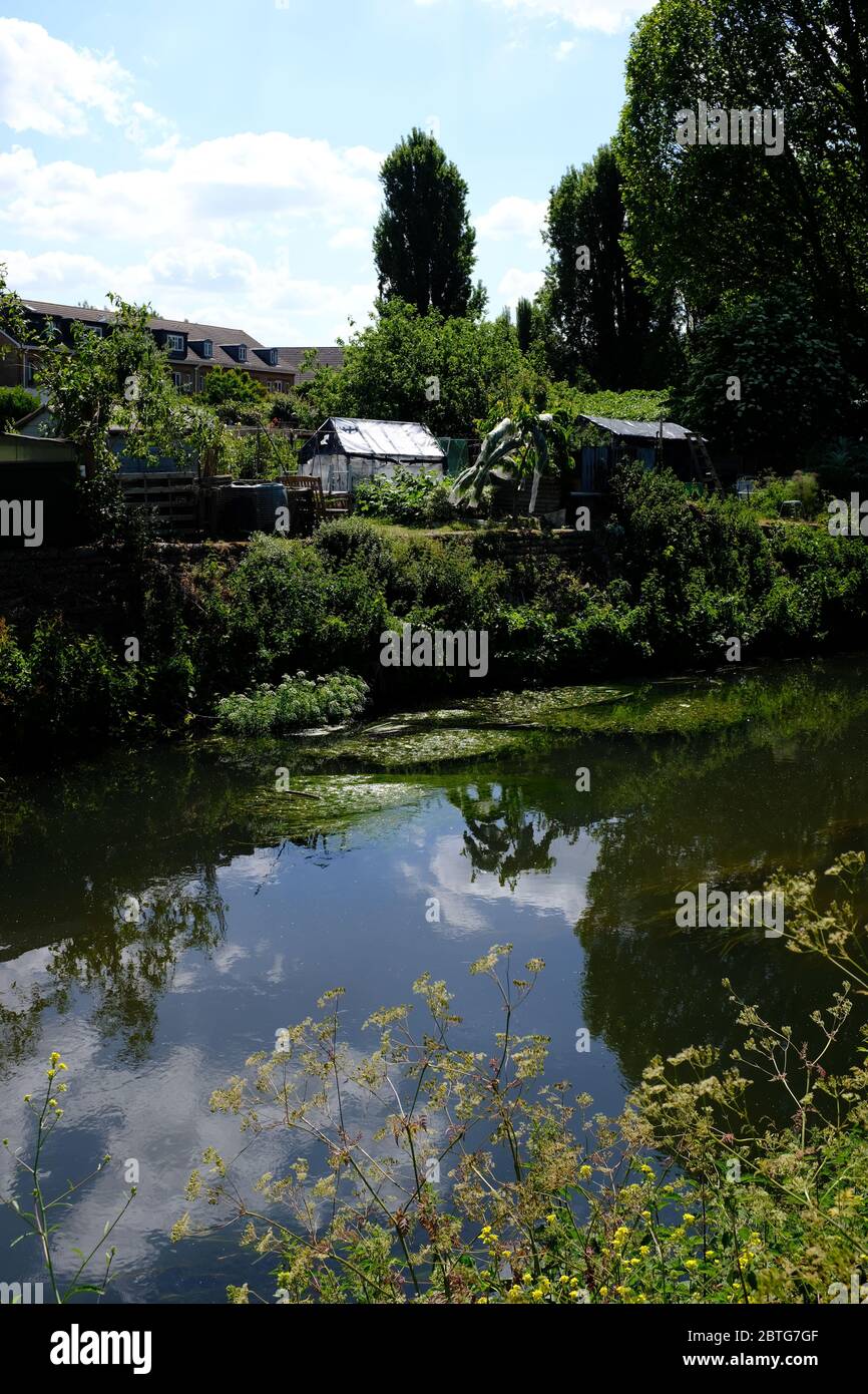 River Wandle Trail Stock Photo - Alamy