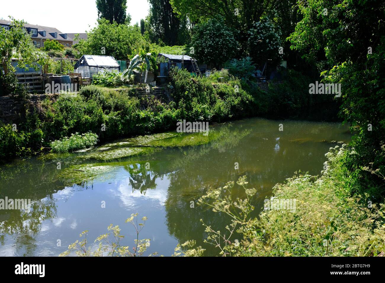 River Wandle Trail Stock Photo - Alamy