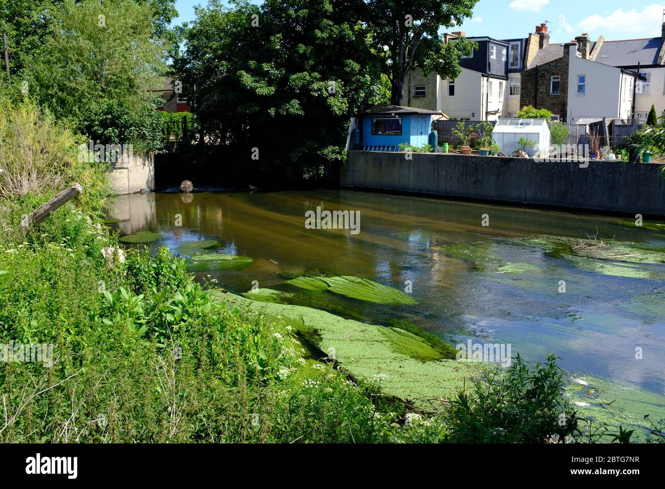 Garratt Park Allotments River Wandle Trail Stock Photo - Alamy