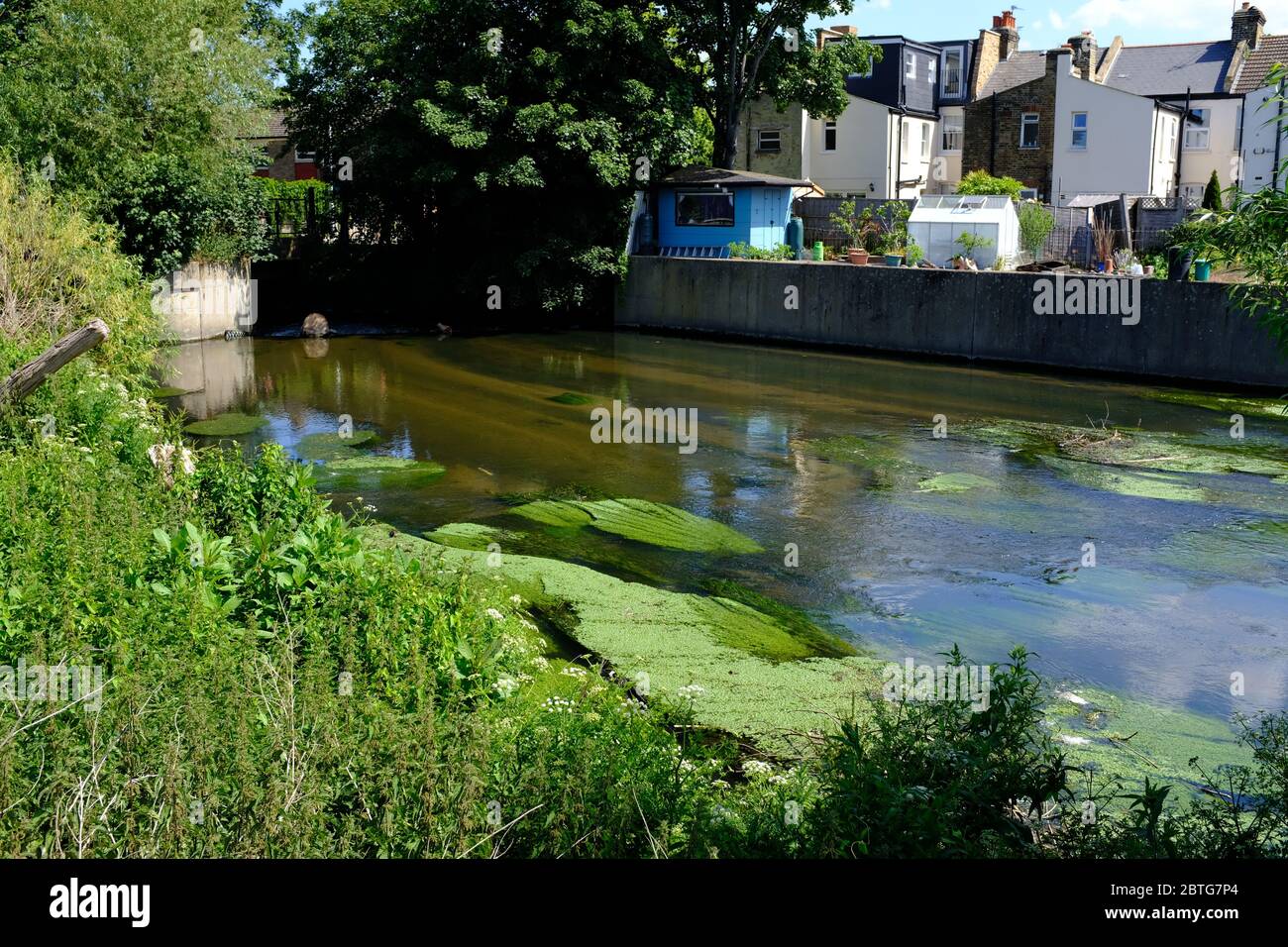 Garratt Park Allotments River Wandle Trail Stock Photo - Alamy