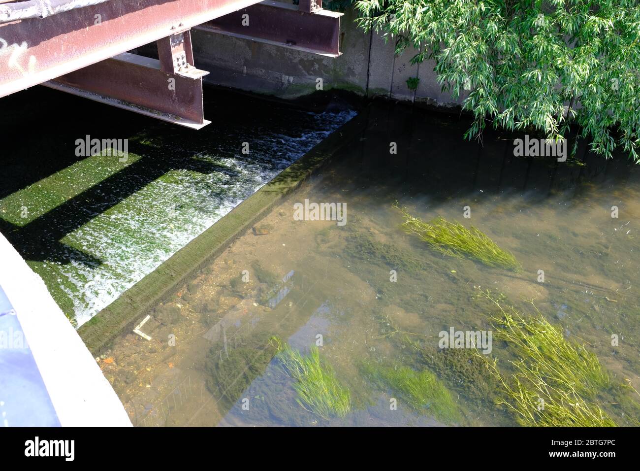 River Wandle Trail Stock Photo - Alamy