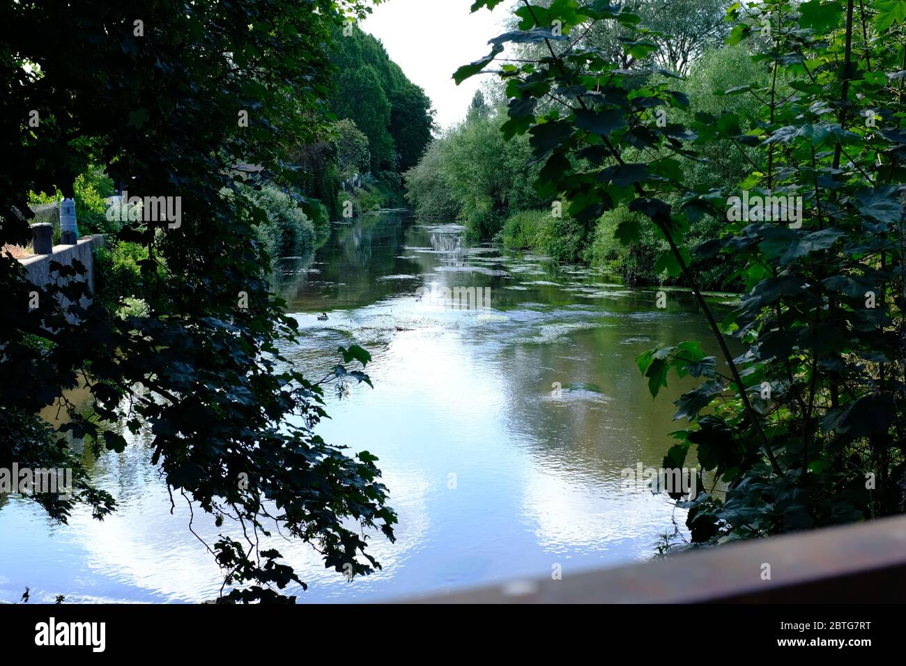 River Wandle Trail Stock Photo - Alamy