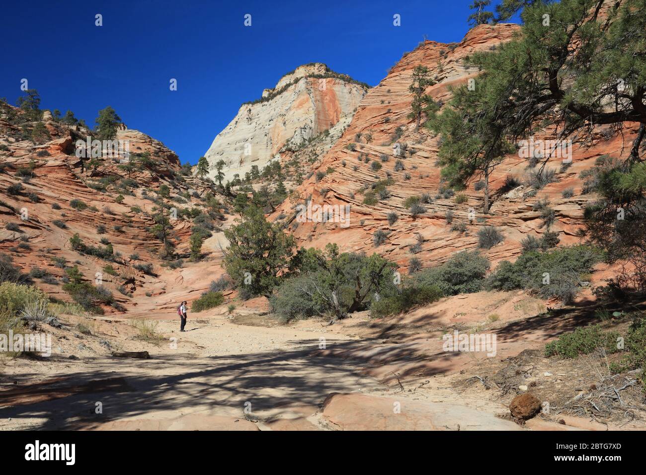 Many pools Trail in the eastern area of Zion National Park Stock Photo ...