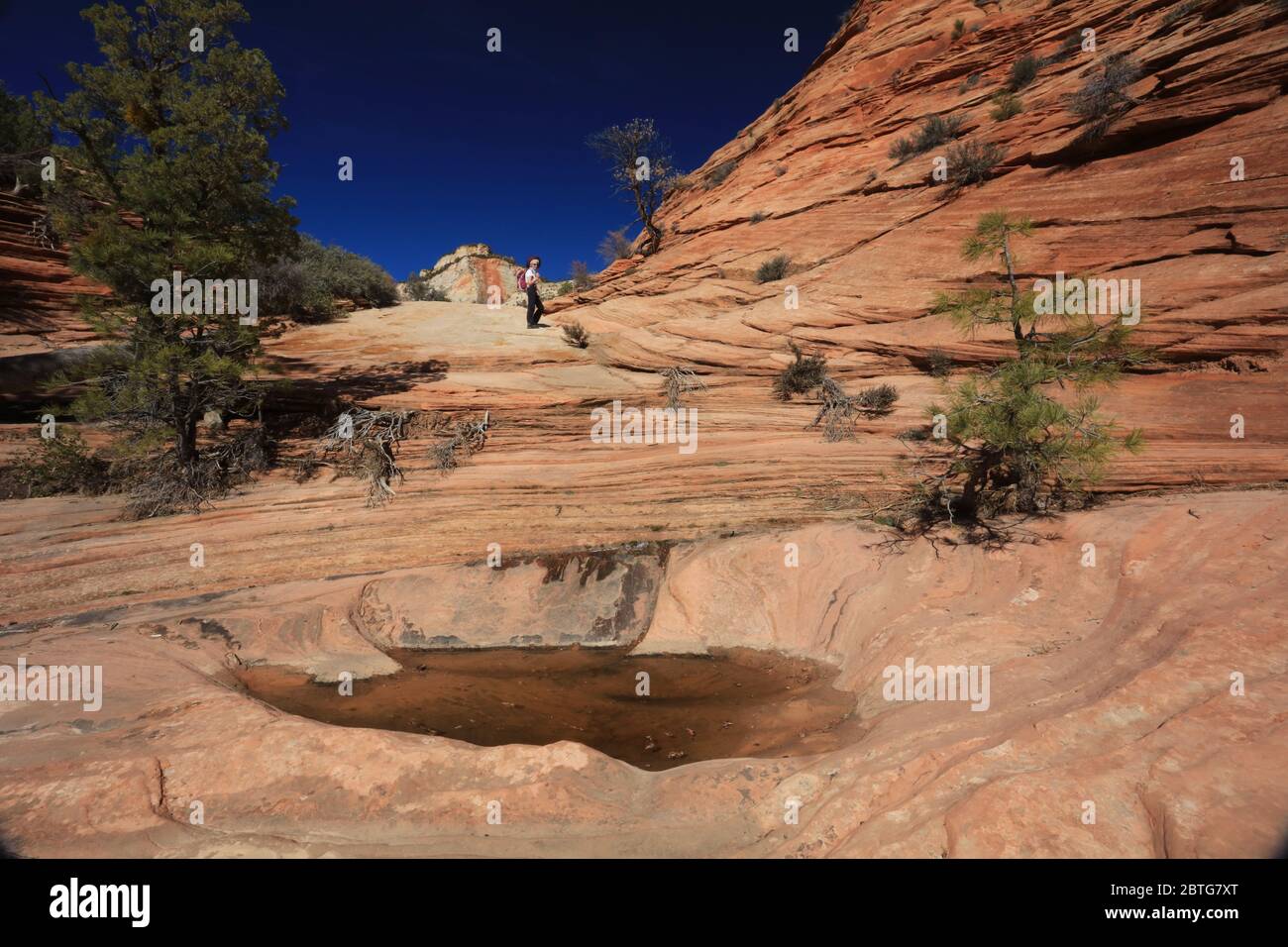 Many pools Trail in the eastern area of Zion National Park Stock Photo ...