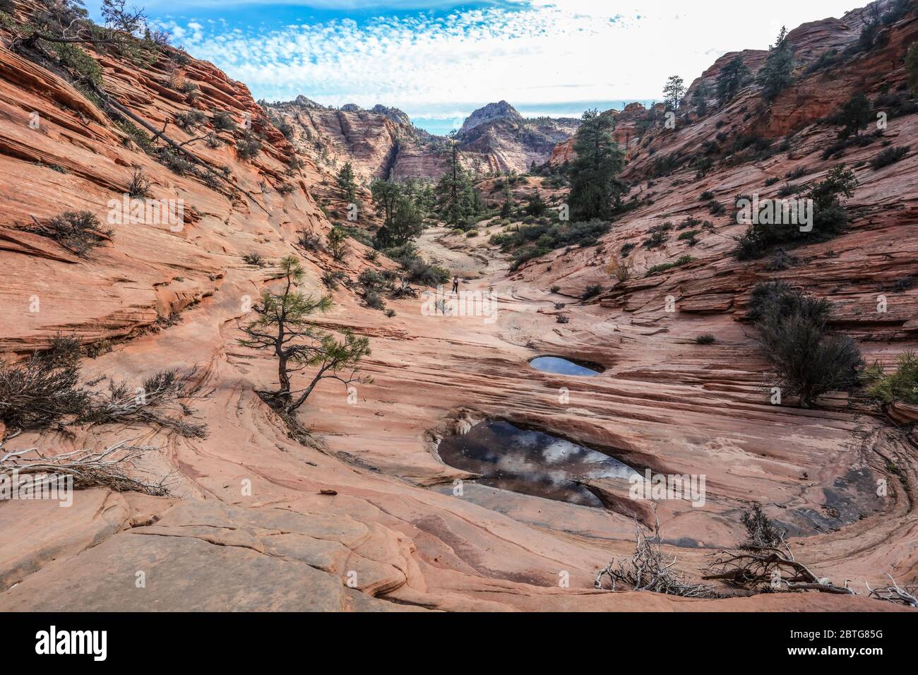 Many pools Trail in the eastern area of Zion National Park Stock Photo ...