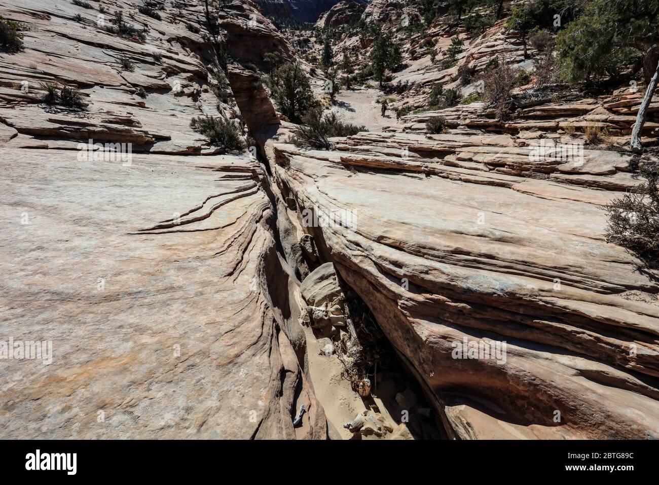 Many pools Trail in the eastern area of Zion National Park Stock Photo ...