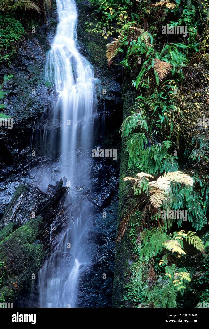 Russian Gulch Falls, Russian Gulch State Park, California Stock Photo ...