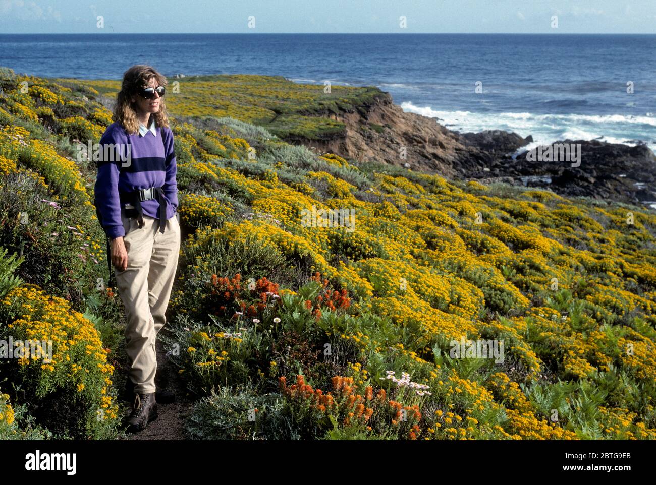 Garrapata state park hi-res stock photography and images - Alamy