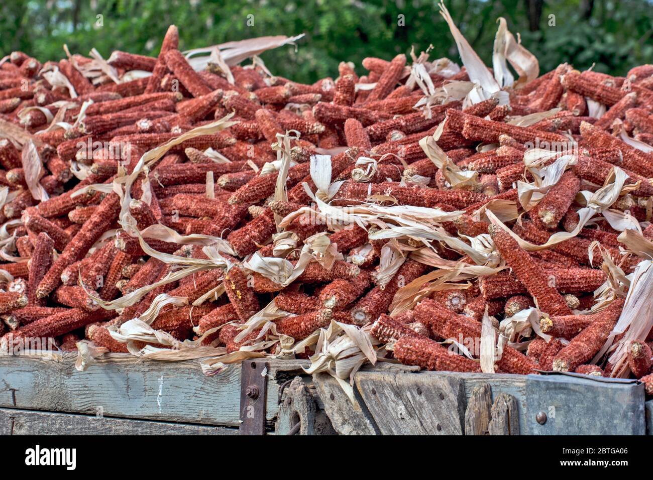Corn cob waste for heating located loaded on a tractor trailer. Offer ...