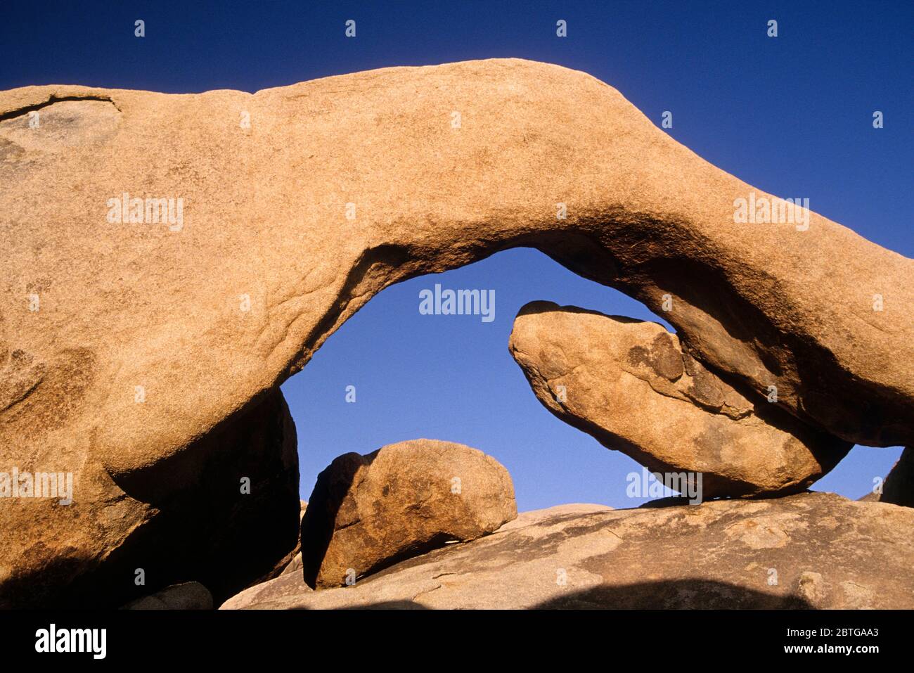 White tank hi-res stock photography and images - Alamy