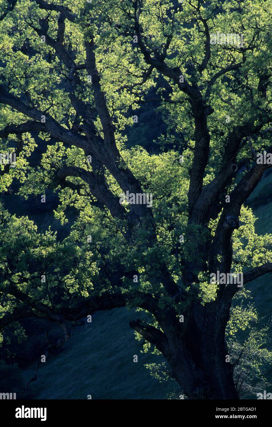 Fort tejon state historic park hi-res stock photography and images - Alamy