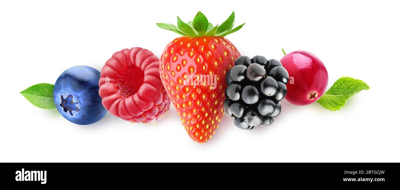 Blueberry blackberry line white Cut Out Stock Images & Pictures - Alamy