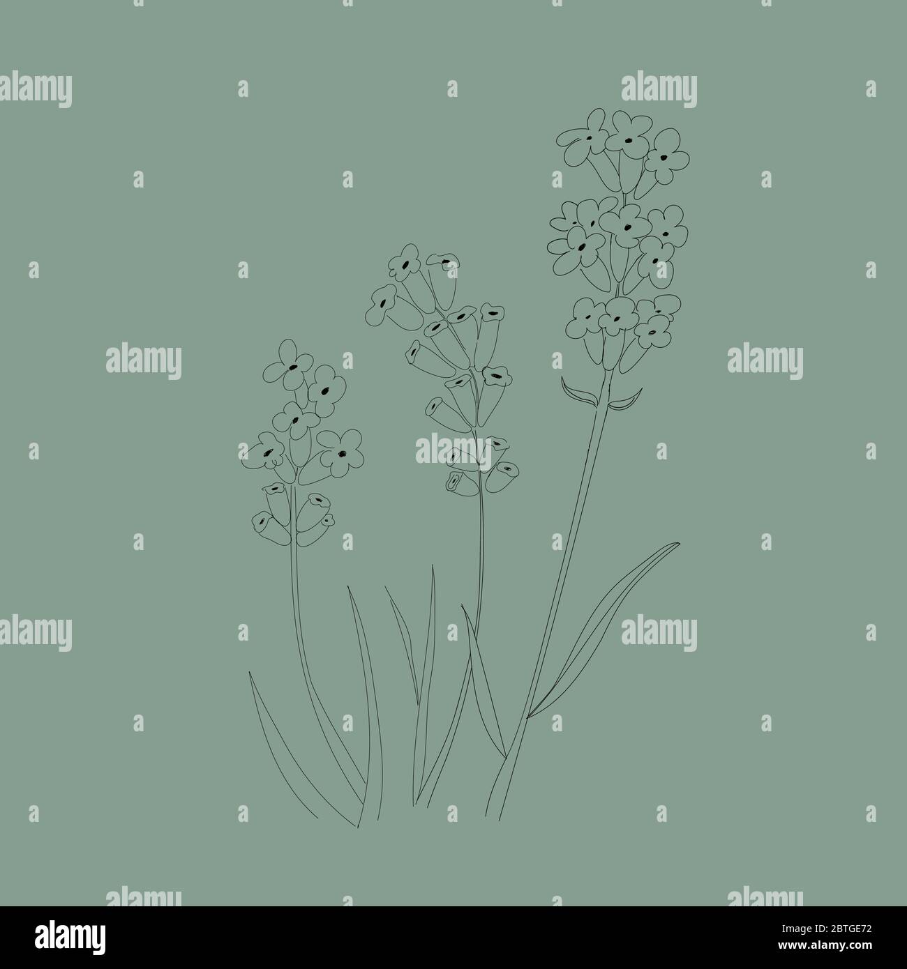 Flowers in doodle style Stock Vector Images - Alamy