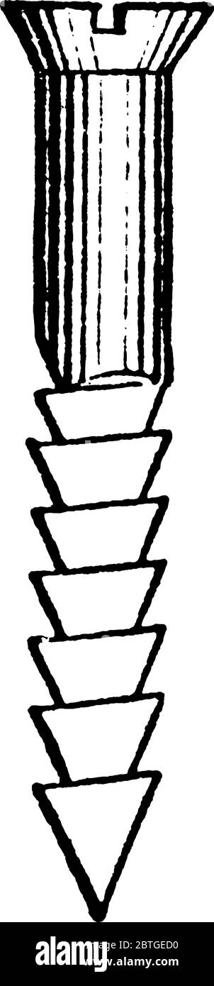 Slotted head Stock Vector Images - Alamy