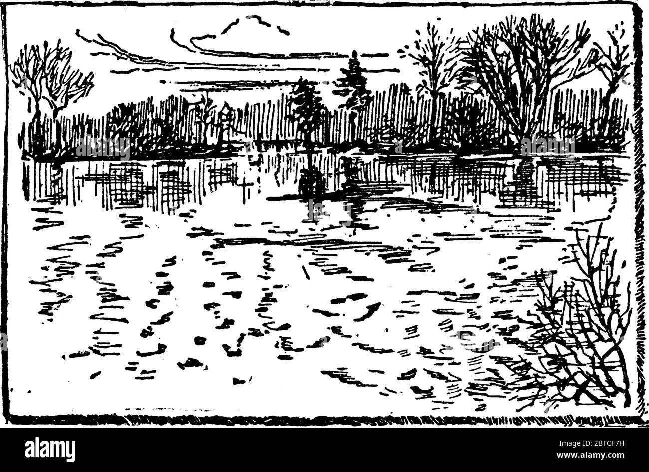 Wet muddy ground of Cranberry flooded in winter, vintage line drawing ...