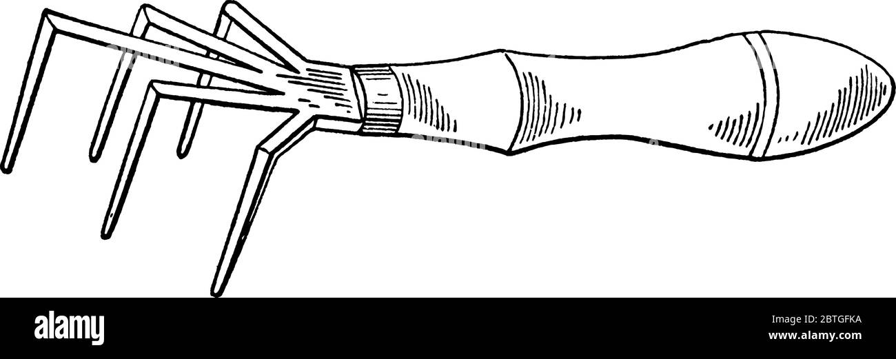 A Finger-weeder, vintage line drawing or engraving illustration Stock ...