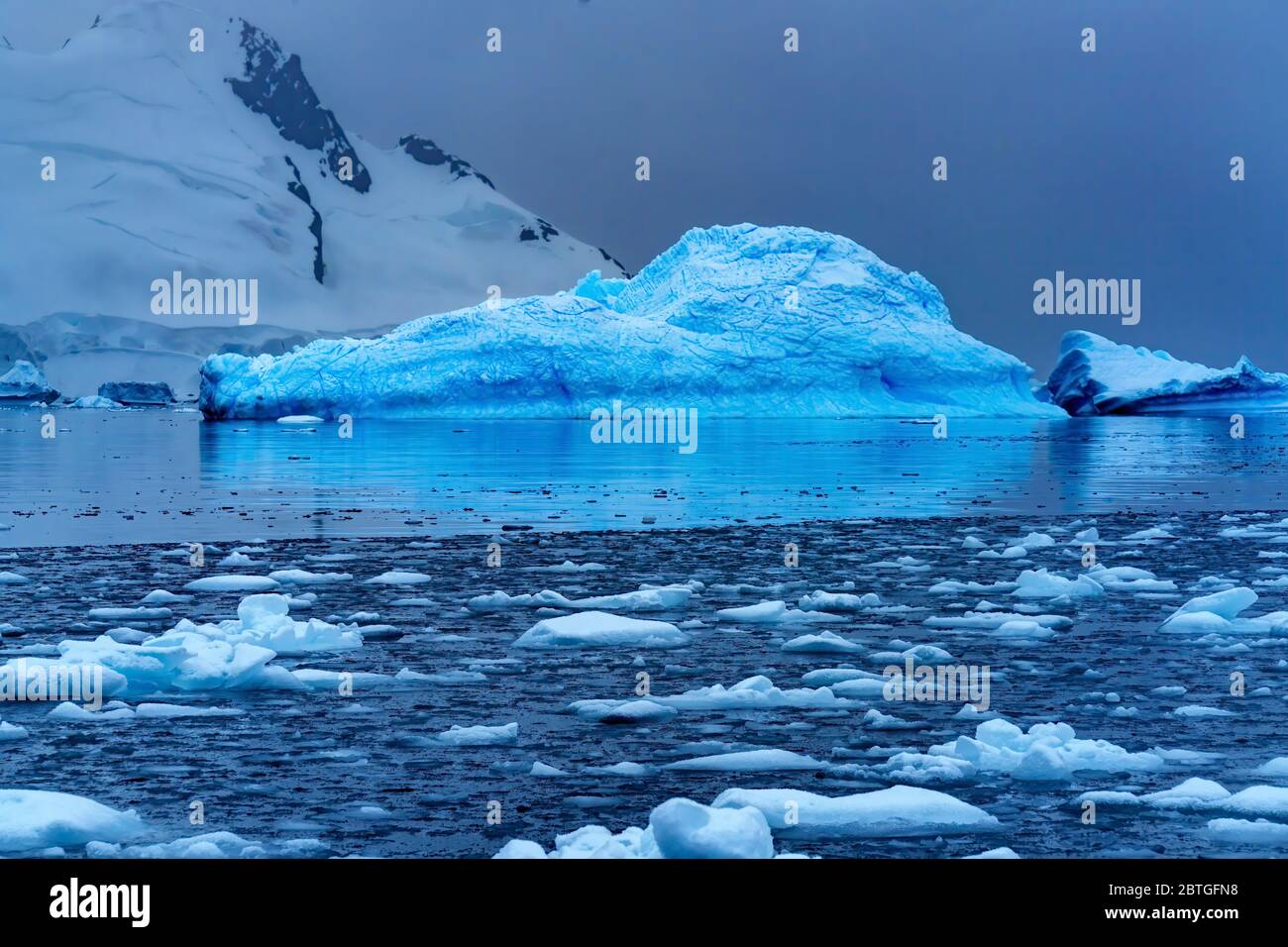 Snowing Floating Blue Iceberg Reflection Paradise Bay Skintorp Cove ...