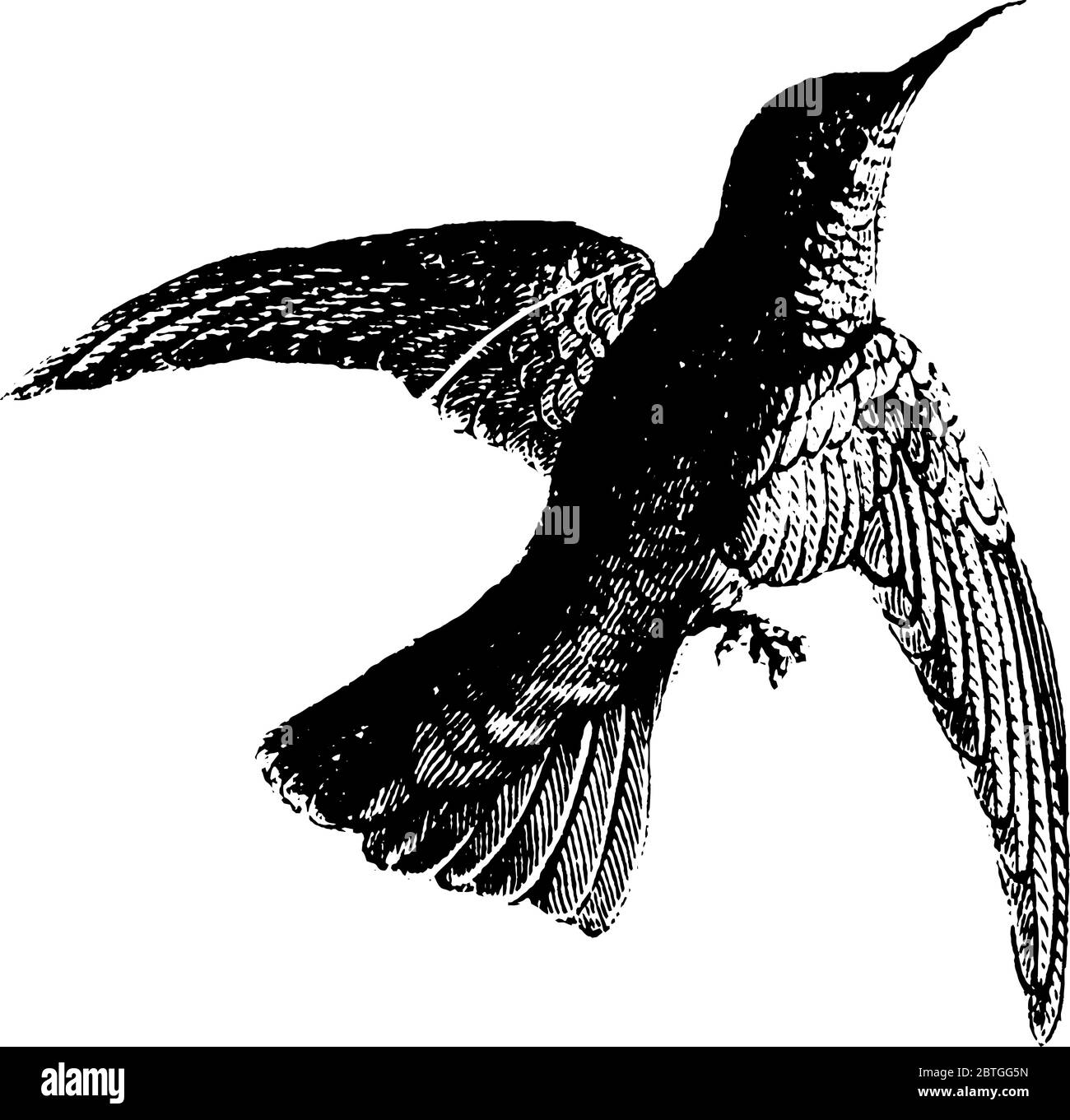 Humming sounds Cut Out Stock Images & Pictures - Alamy