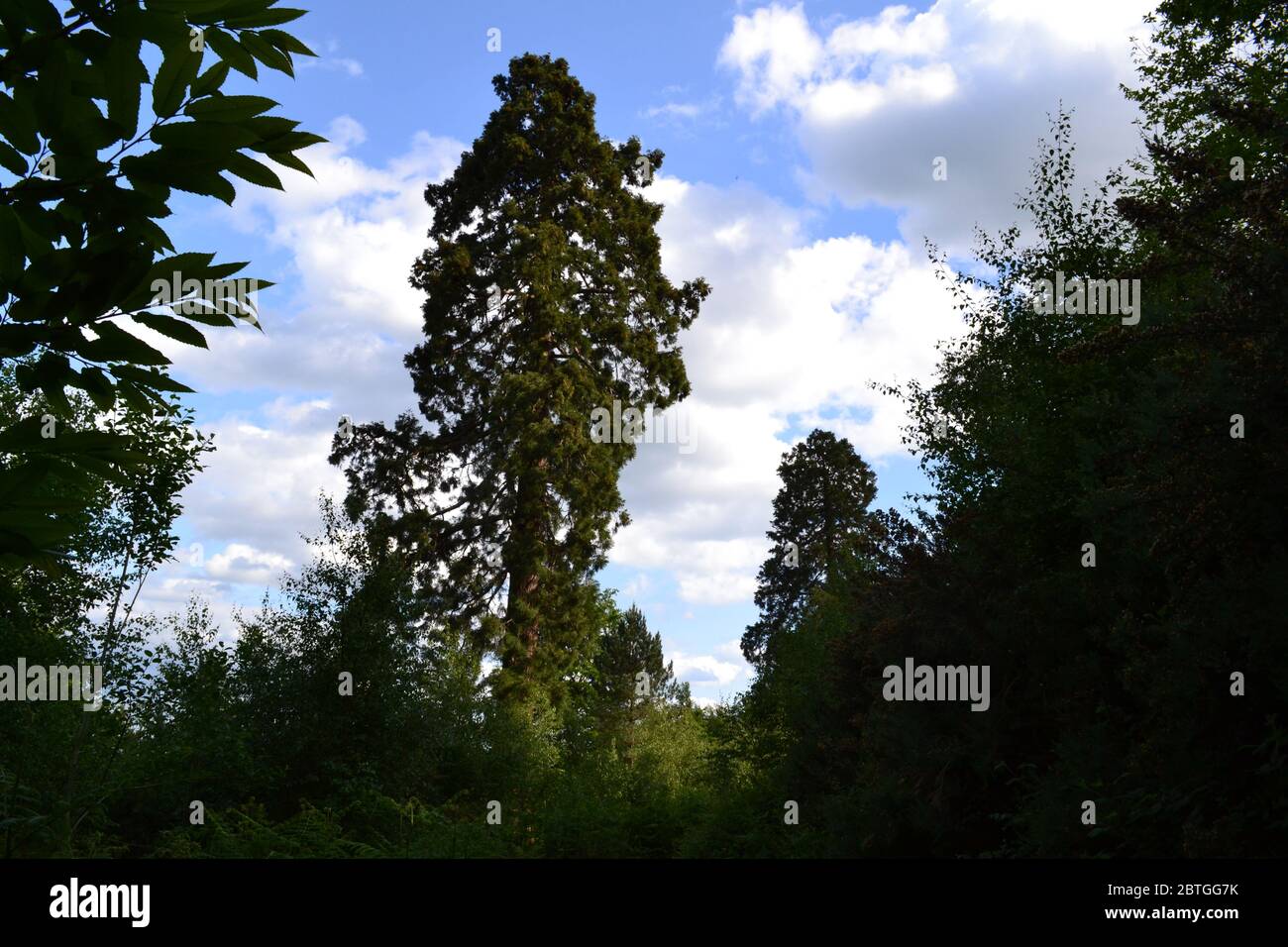 Late May in north west Kent, England. Chartwell, Winston Churchill's ...