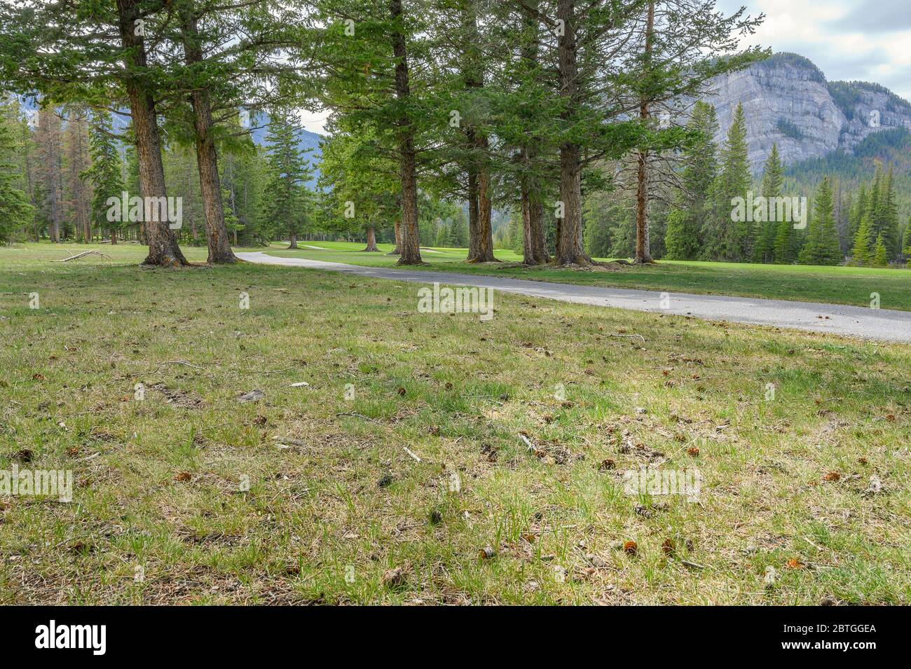 Springtime at the Banff Springs Golf Course in Banff National Park ...