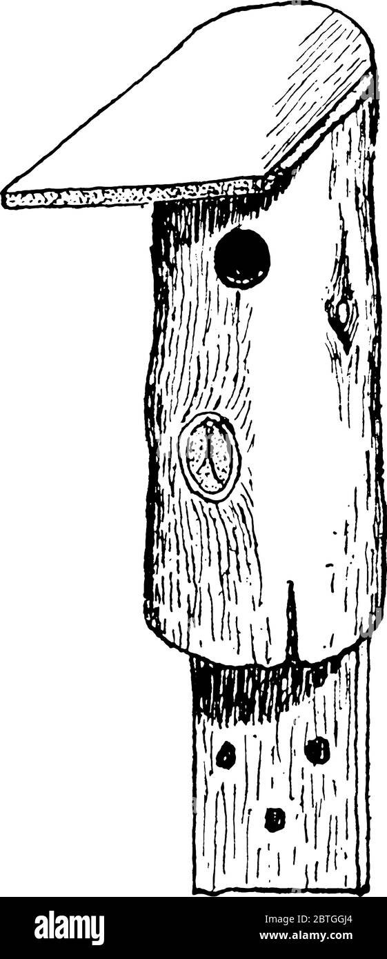 Box cages Stock Vector Images - Alamy