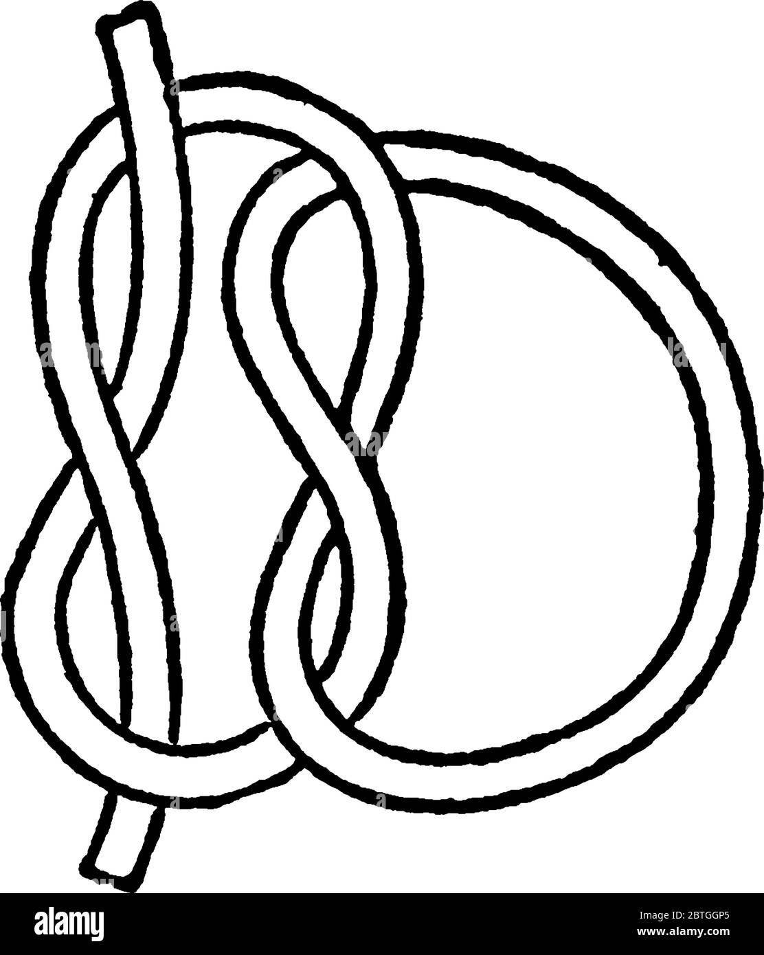 A reef knot, vintage line drawing or engraving illustration Stock ...