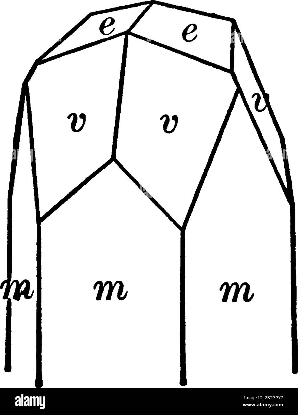 Calcite is a carbonate mineral and the most stable polymorph of calcium ...