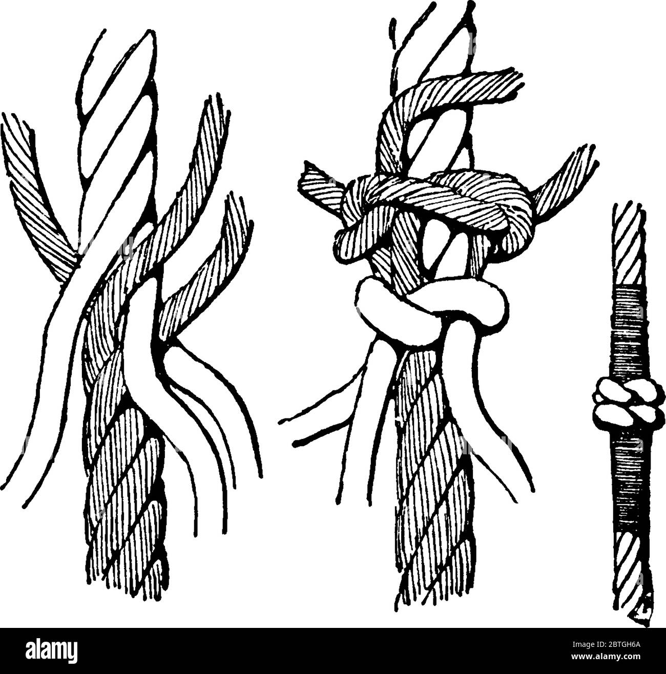 Reunited Stock Vector Images - Alamy