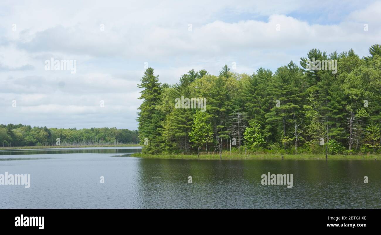 Puffer Pond at Assabet National Wildlife Refuge Stock Photo - Alamy
