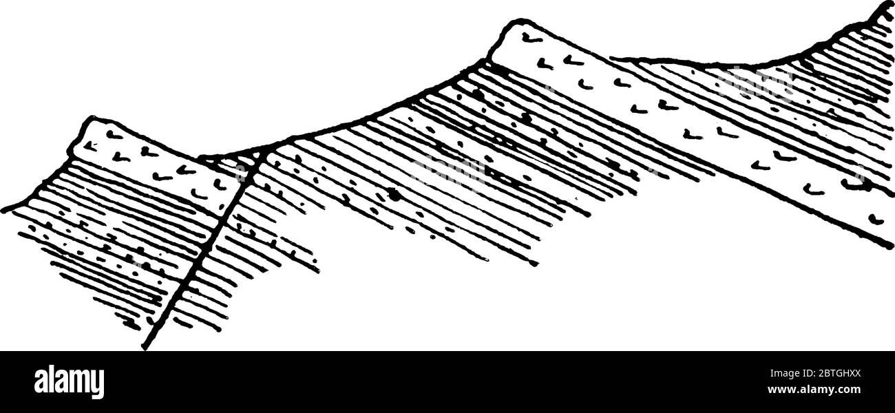 Tabular sheet Stock Vector Images - Alamy