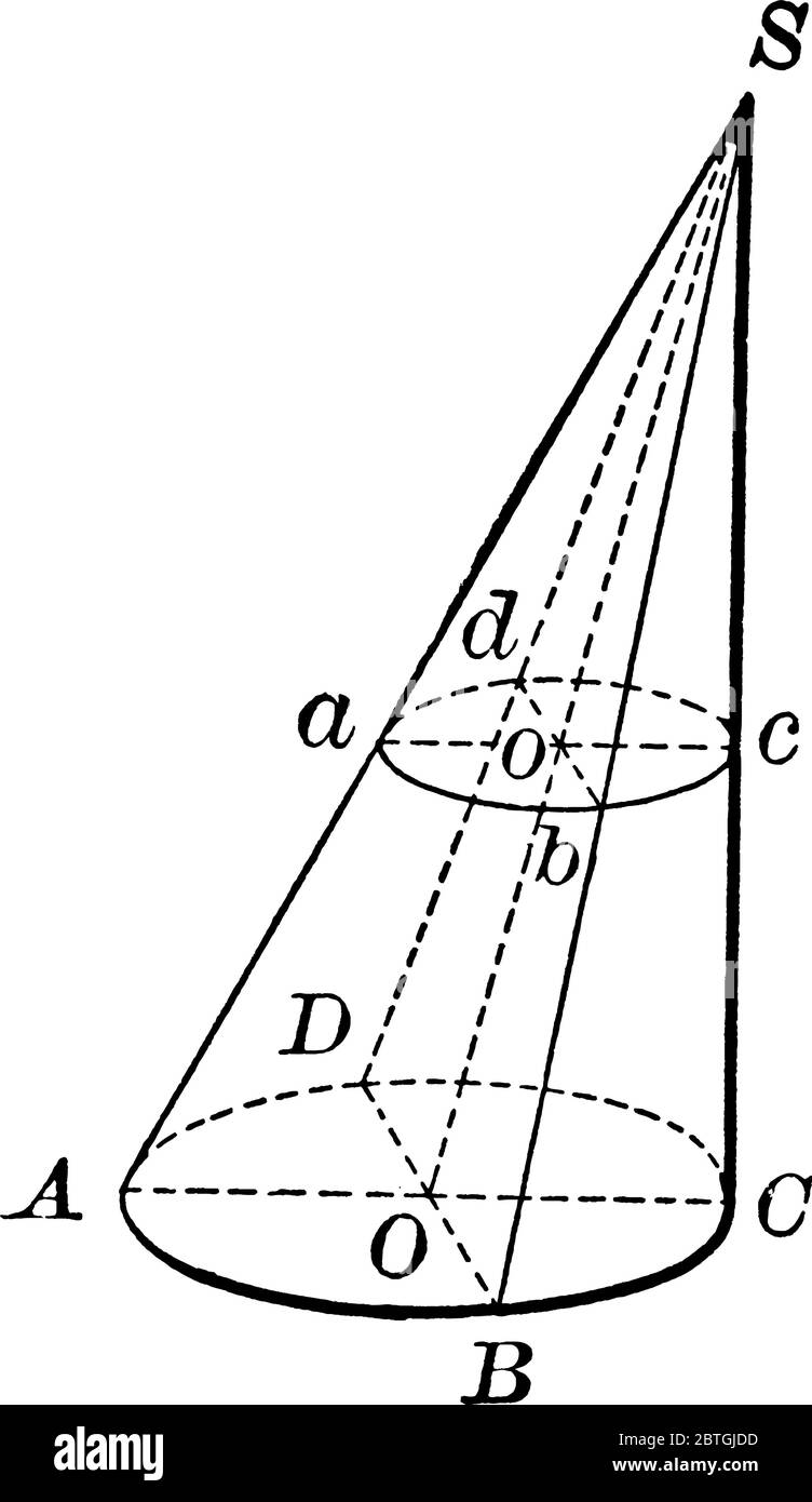 Geometric shape that tapers smoothly from a circular base to a point S ...