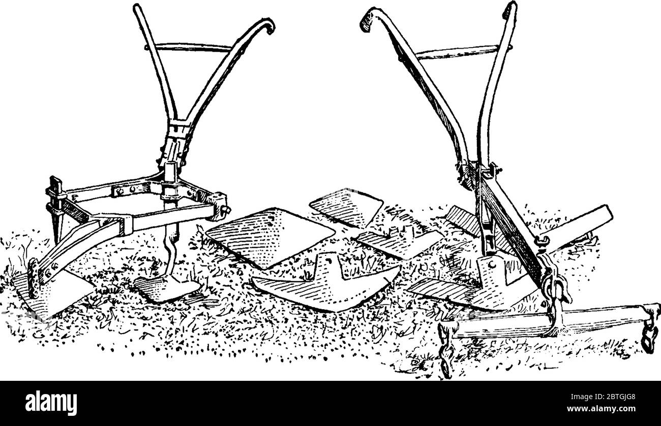 Cultivation seeds Black and White Stock Photos & Images - Alamy