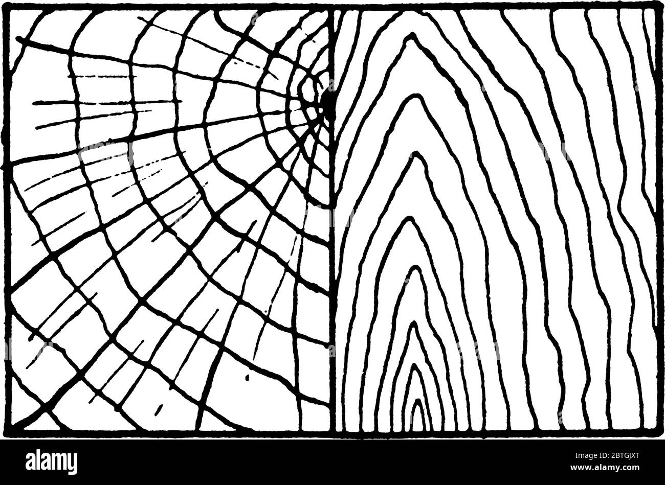 Cracks in Wood are ruptures or separations in the grain of the wood ...