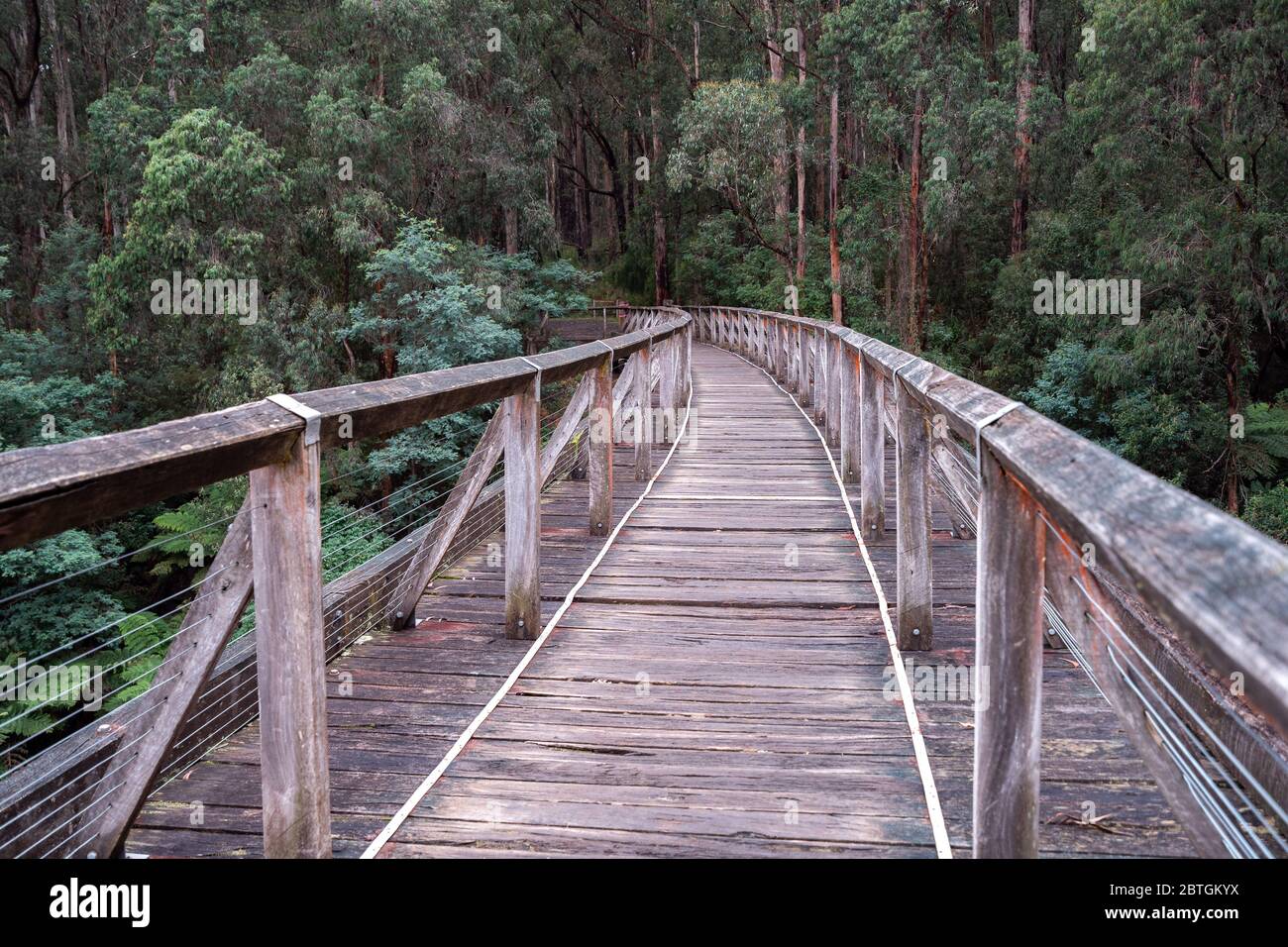 Historical Noojee Trestle Bridge - a legacy of the old railway ...