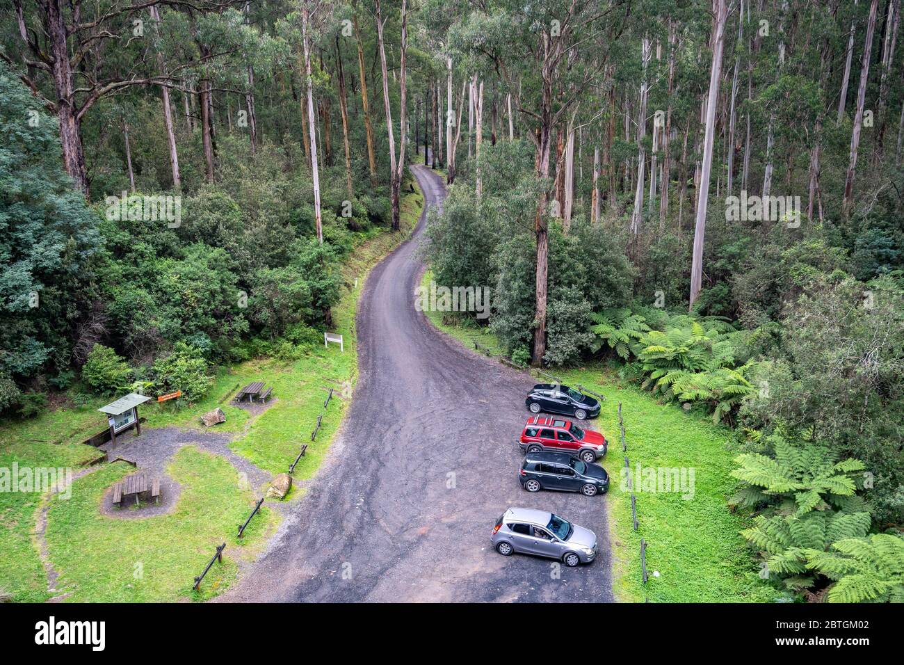 Noojee, Victoria, Australia - View from the Historical Noojee Trestle ...