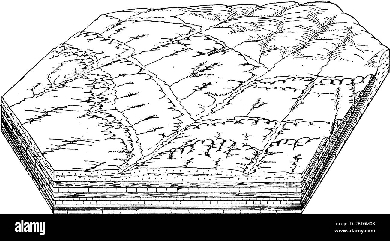 Cuestas and lowlands, it has a steep cliff or escarpment on one side ...