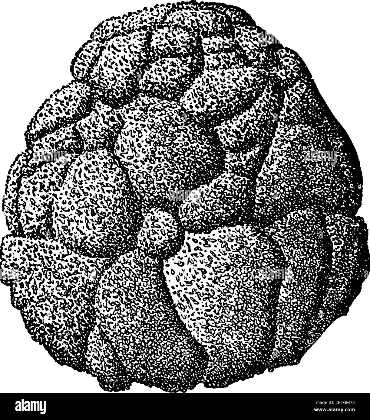 Manganese oxide is an inorganic compound with chemical formula MnO. It ...