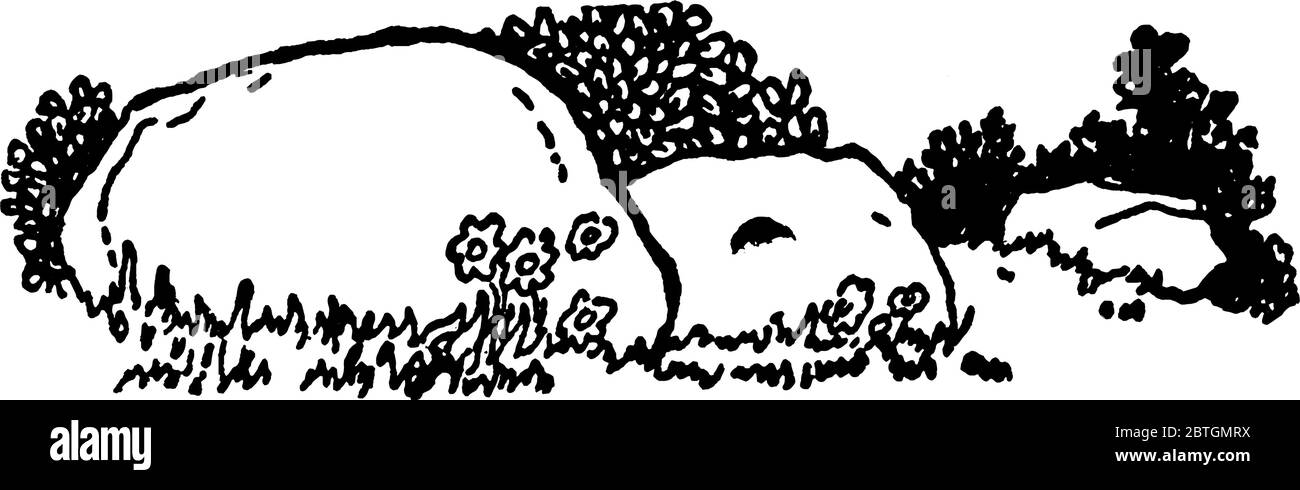A rocks in a grassy field, vintage line drawing or engraving ...