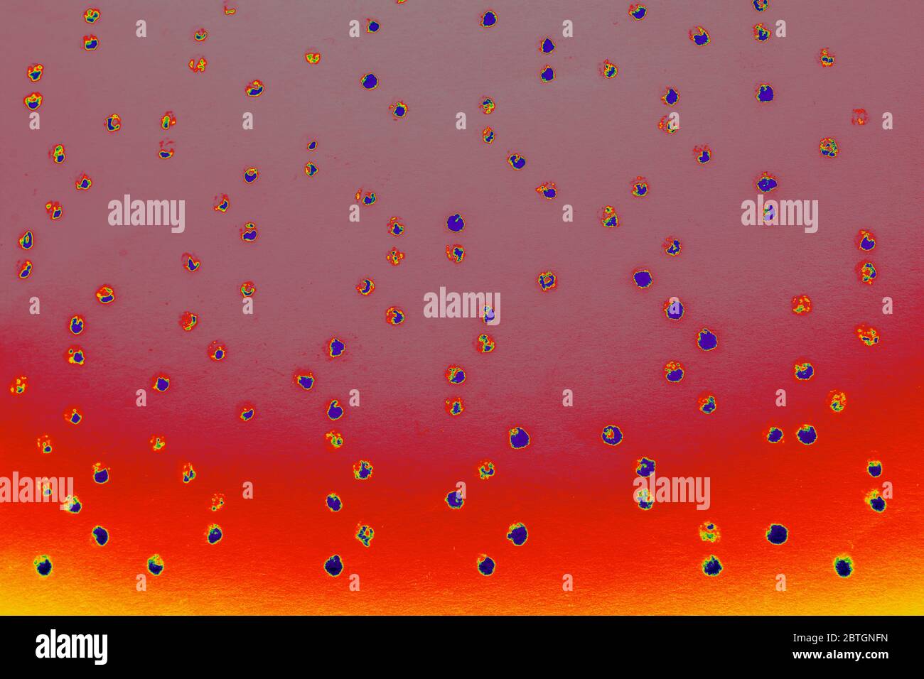 Red paint dots on a white background on display Stock Photo - Alamy