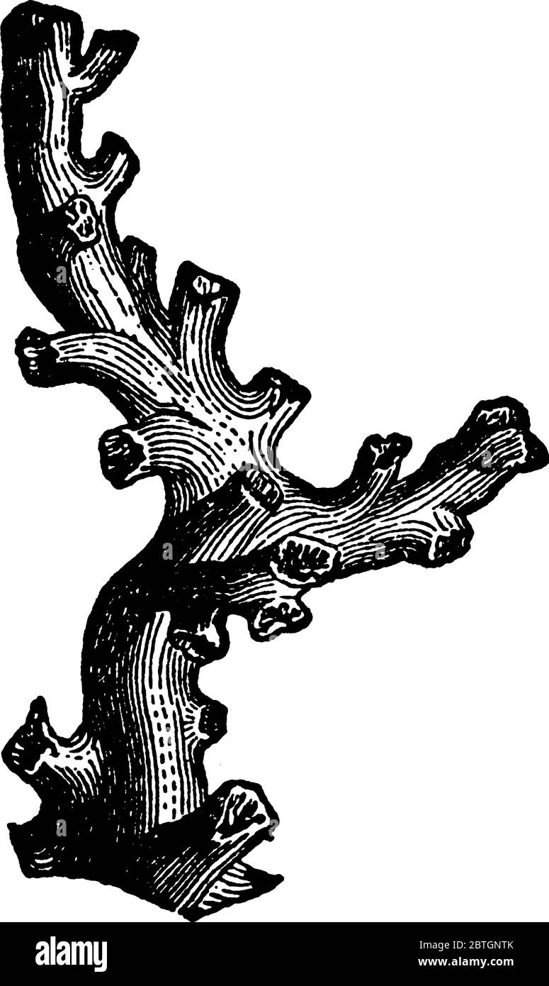 Sea structures Stock Vector Images - Alamy