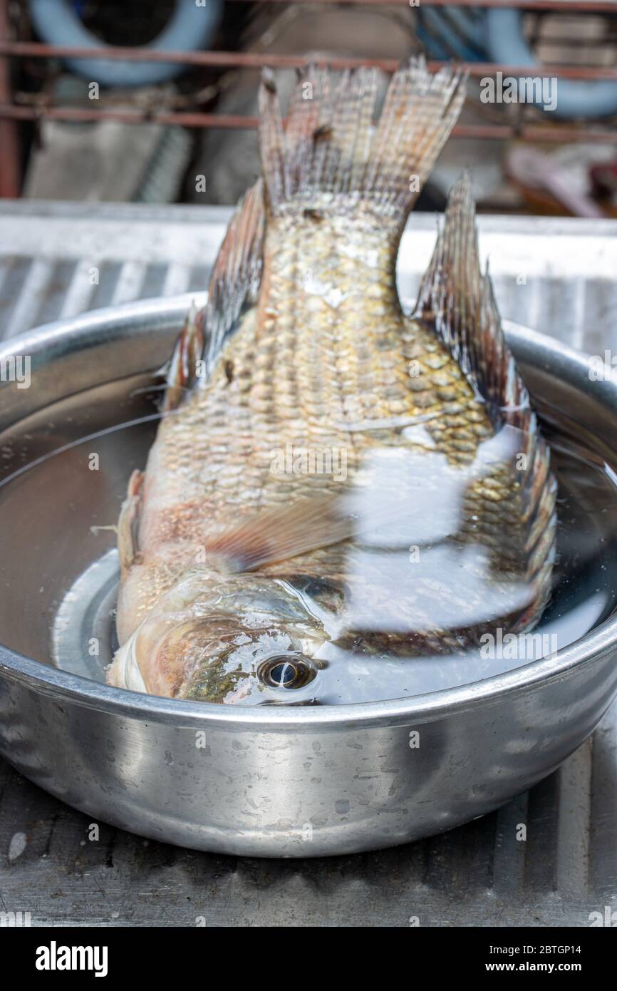 How To Boil Fish In Water